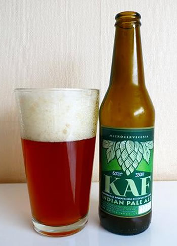 Las diez mejores cervezas chilenas | paniko.cl